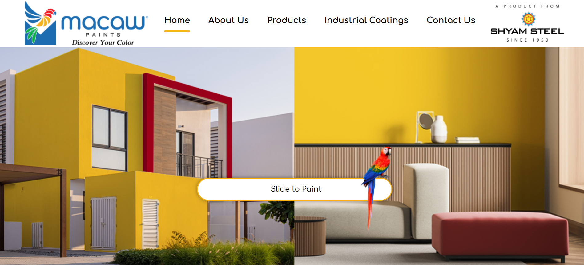 Products - Macaw Paints